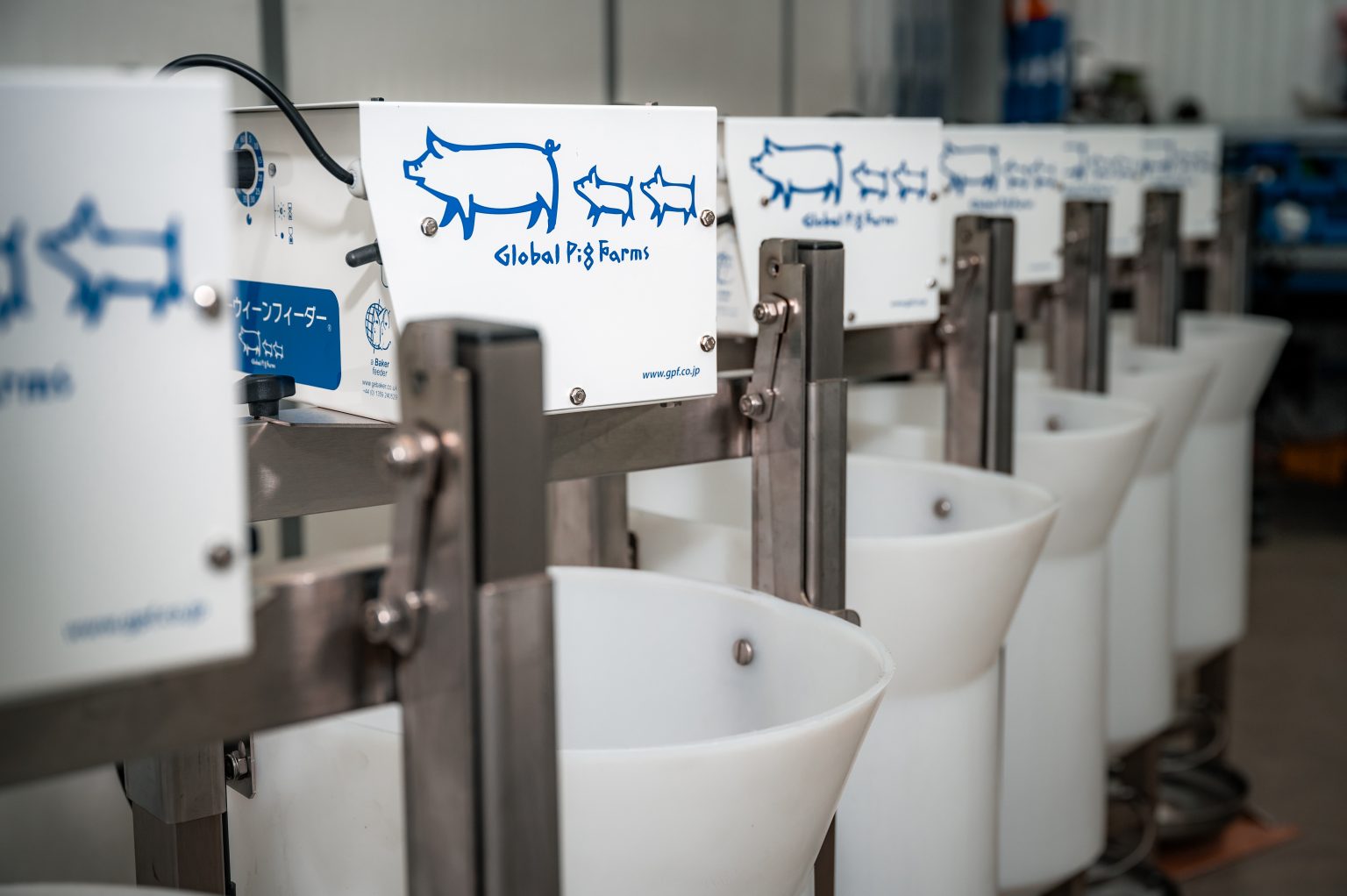 pigs - Quality Equipment